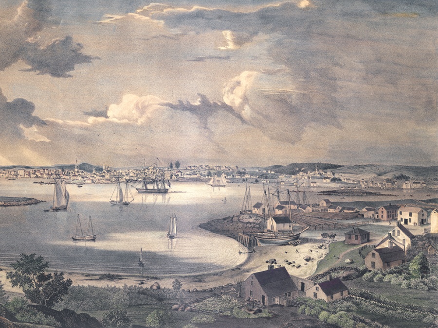 Architecture Follows Fish - Fishing Architecture